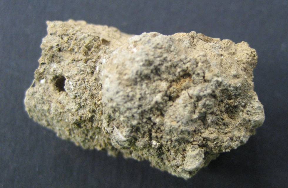 El sorprendente hallazgo sobre excremento de 8.000 años de antigüedad