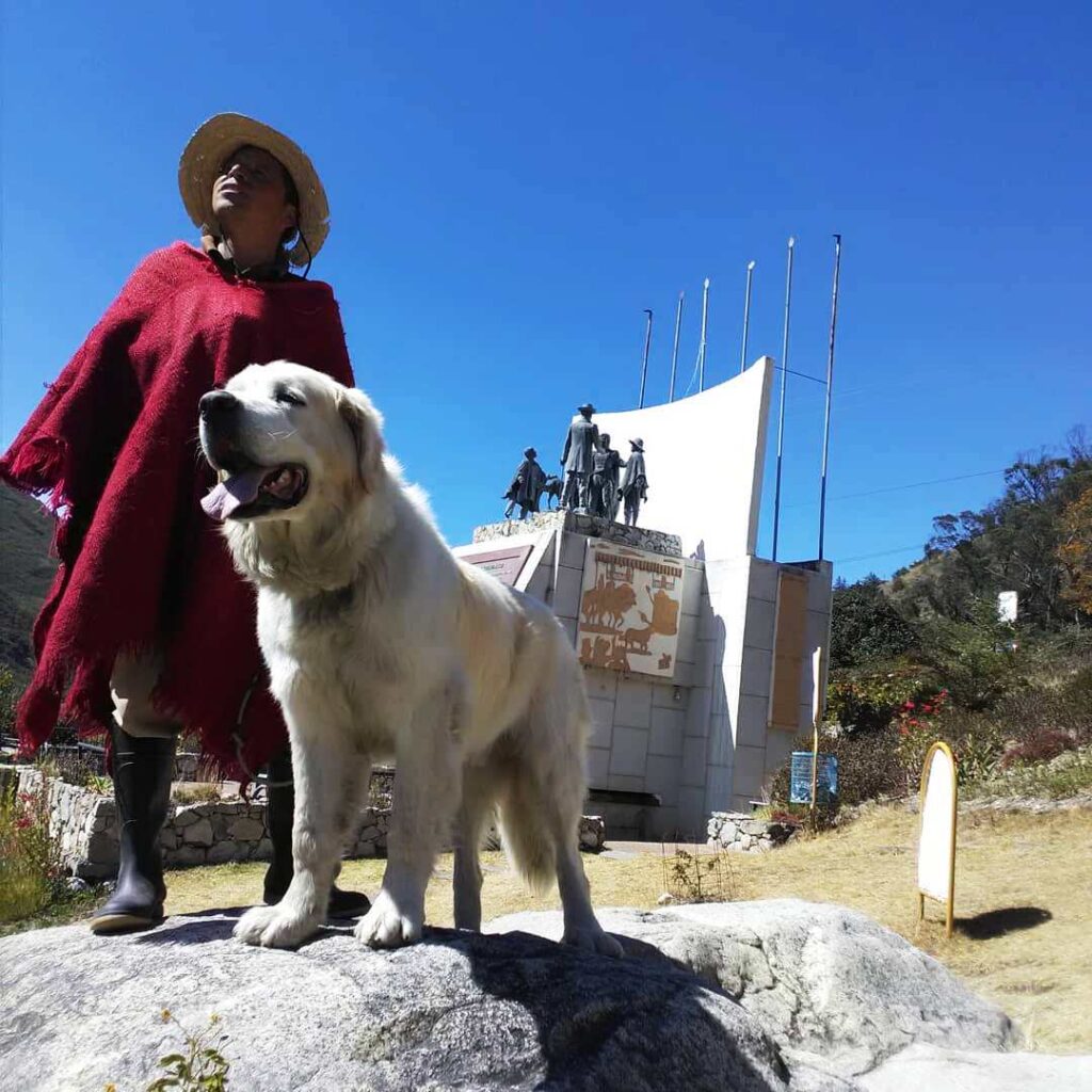 El adorable Mucuchíes, 56 años como el perro típico nacional