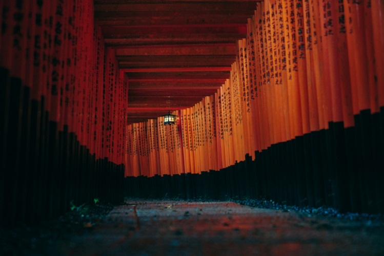 Descubre el significado de los arcos torii que se encuentran en todo Japón
