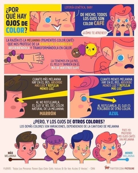 El color de los ojos: ¿Qué determina la diferencia entre nuestras miradas?