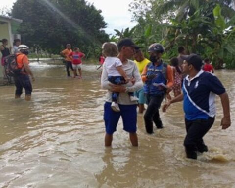 Masato de arroz, otra debilidad de El Gocho del WhatsApp - CURADAS