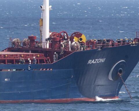 Flips: Hecho en Venezuela