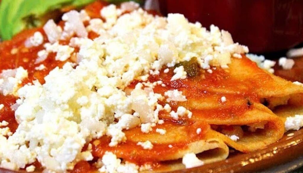 Entomatadas con queso: prepara este delicioso plato mexicano