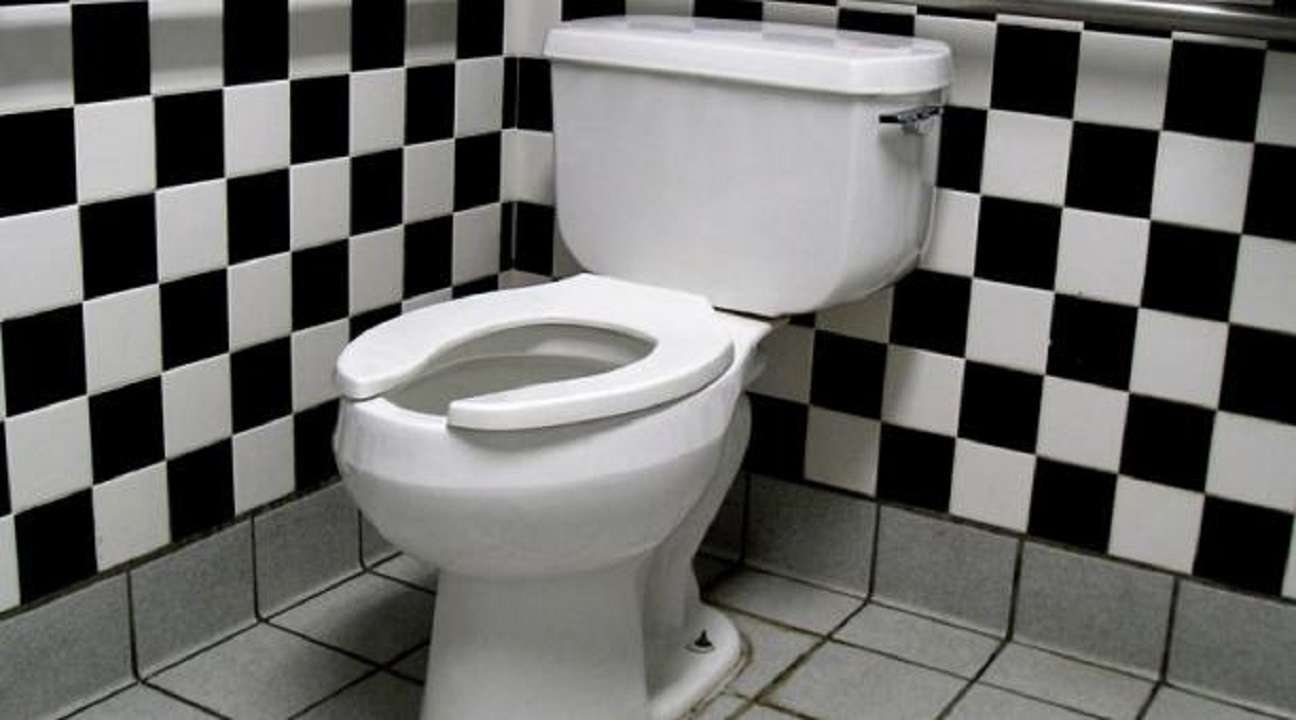 Día Mundial del Inodoro: conoce cuál es su importancia