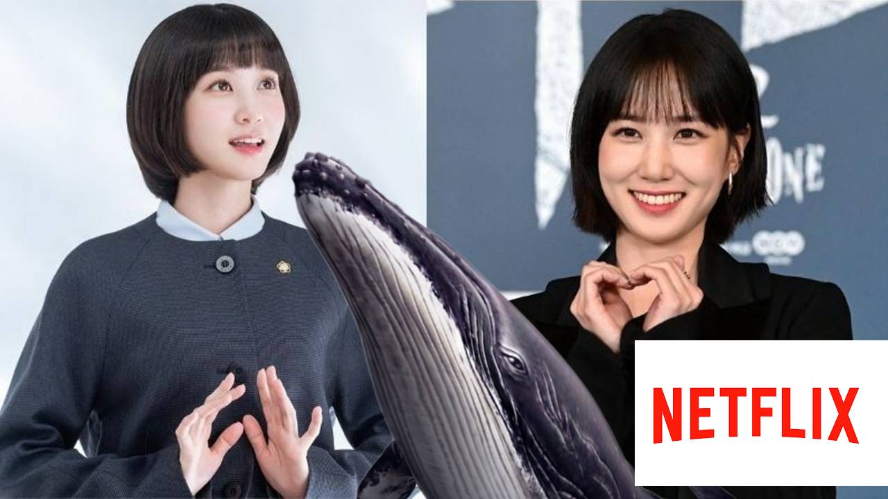 Curadas Recomienda Woo Una Abogada Extraordinaria Netflix