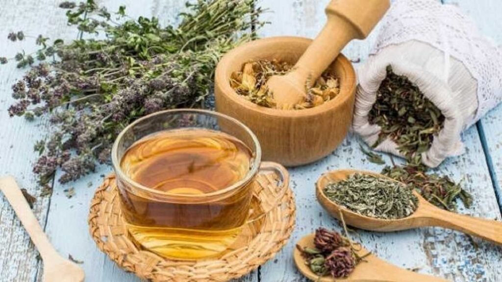 Infusión de orégano con limón: prepara esta bebida para tu salud