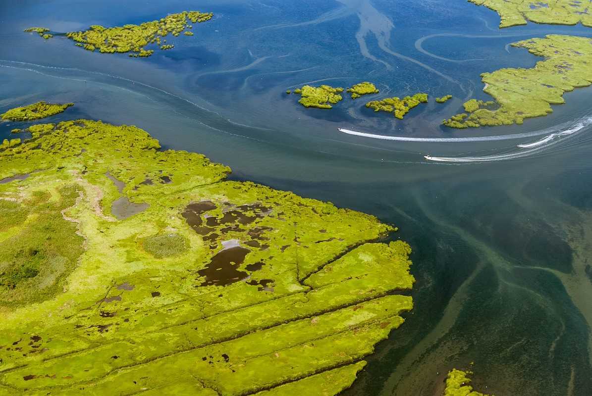 Humedales: conoce qué efectos generaría su pérdida