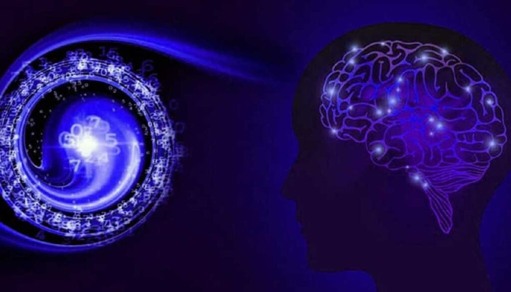 Por qué los humanos desarrollamos conciencia / CuriosaMente - CURADAS