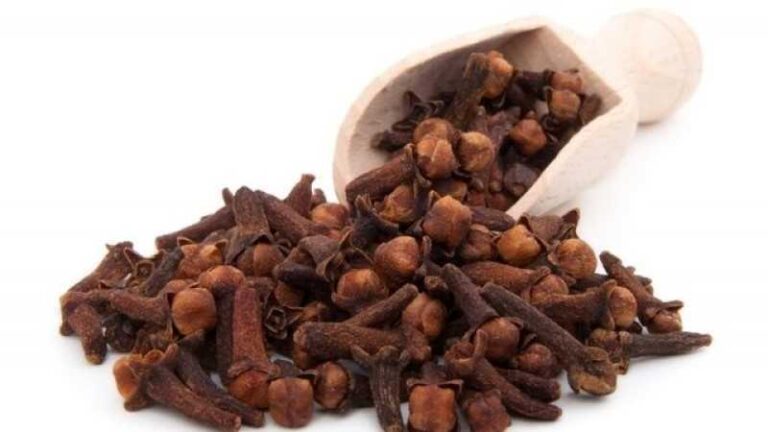 Clavos de olor: beneficios para tu salud | Dr. Carlos Jaramillo - CURADAS
