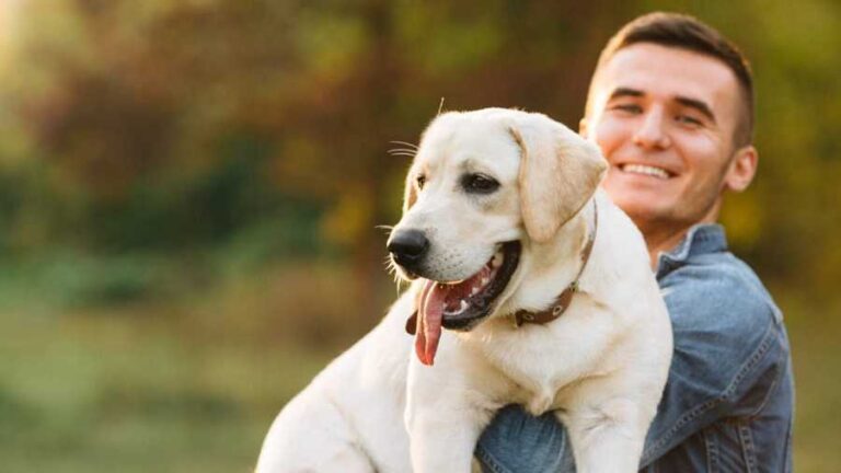 Perros y humanos - Los secretos de una amistad inquebrantable - CURADAS