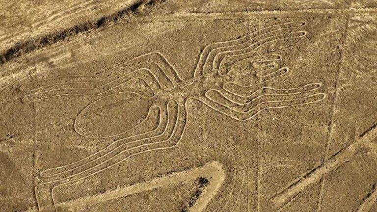 Nazca: Misterio revelado - CURADAS