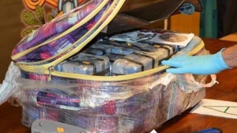 Narcovalijas en la embajada - CURADAS